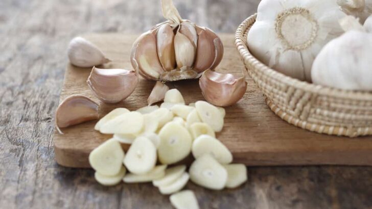 Ultimate Guide To Growing Garlic & Things You Should Know