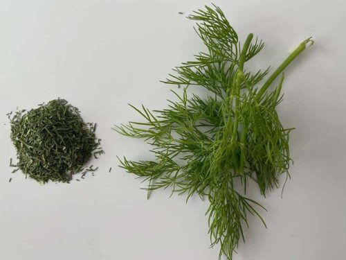 How To Use Fresh Dill For Cooking