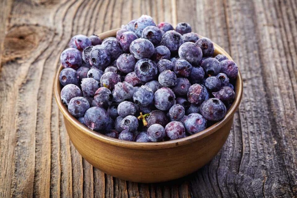 How To Freeze Fresh Blueberries Without Ruining The Taste