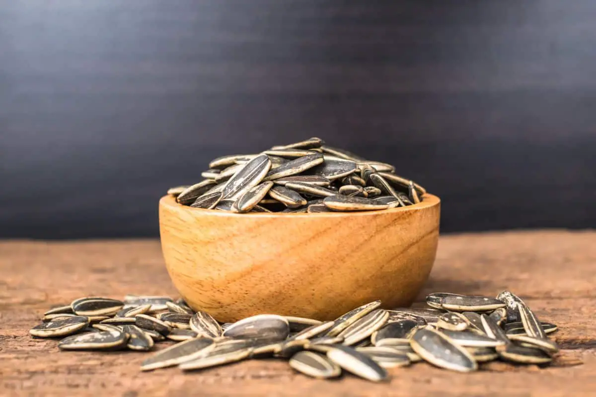 Top 10 Roast Sunflower Seeds